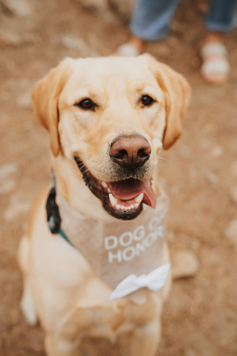 Boulder Colorado Engagement Photos - Colorado Wedding Photographer